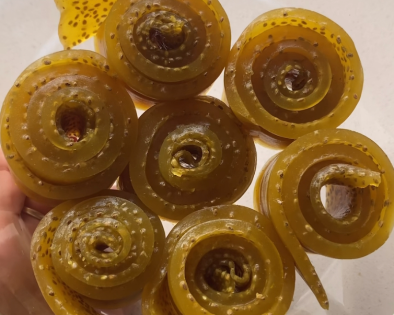 DIY Sweet & Nutritious Gummy Roll-Ups – Ancestral Nutrition